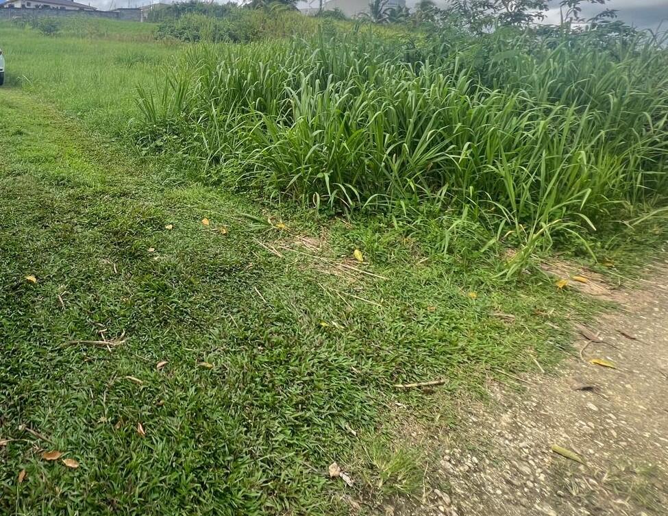 TERRAIN A MOINS DE 90 00 EUROS POUR CONSTRUCTION VILLARCHIPE